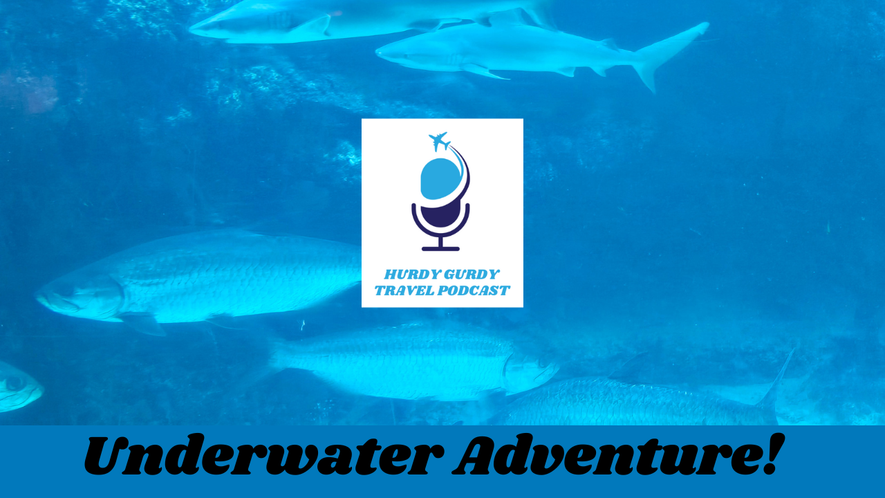 Underwater Aquarium Predator’s Lagoon | Atlantis, The Bahamas – Hurdy ...